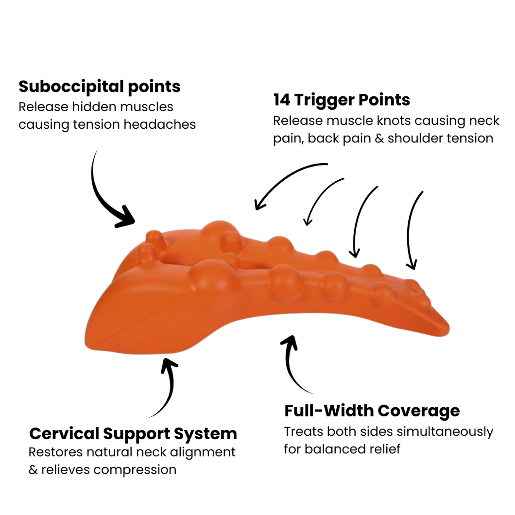 FlexPoint – Ergovia